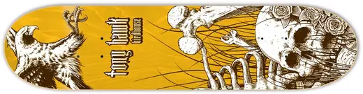 Birdhouse Hawk Aviary Skate Deska | SkatePro