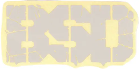 BSD Sticker Promo | SkatePro