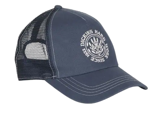 Dickies Beavertown Lippis | SkatePro