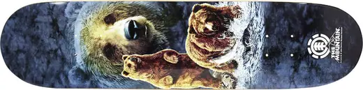 Element Bear Logo Tábua De Skate | SkatePro