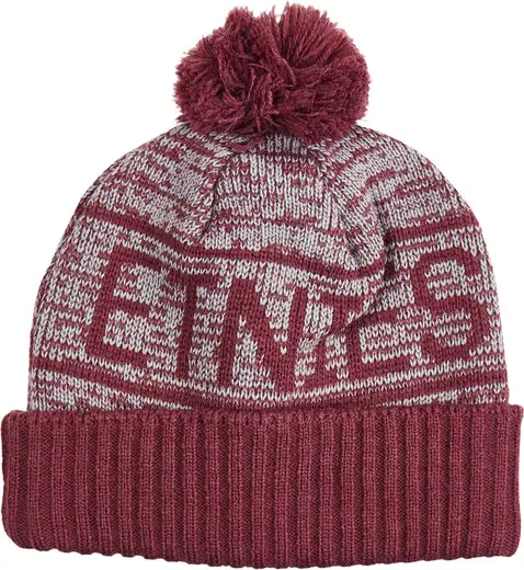 Etnies Liniar Beanie | SkatePro