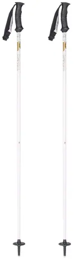 K2 Style Composite Ski Poles | SkatePro