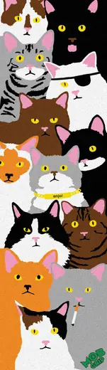 MOB X Enjoi Cat Skateboard Griptape | SkatePro