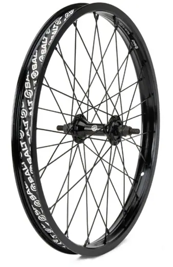 Salt EX 20" BMX Front Wheel | SkatePro