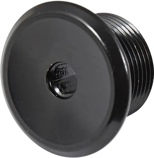 Salt Plus BMX Fork Top Cap Bolt | SkatePro