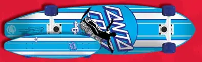 Santa Cruz Wingnut Blue 2010 Complete Longboard | SkatePro