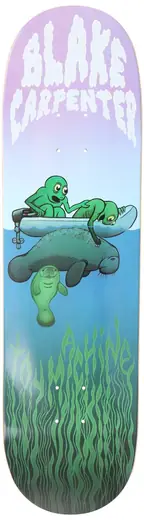 Toy Machine Blake Carpenter Pro Skateboard Deck | SkatePro