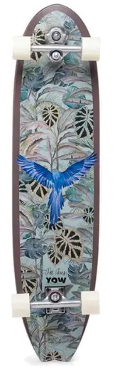 Complete Surfskates - Get your new surf skateboard online